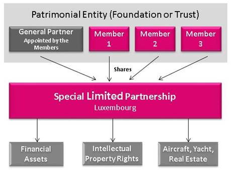 Limited Partnership for holding Private Assets